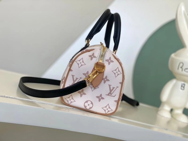 Economical Louis Vuitton Speedy Bags