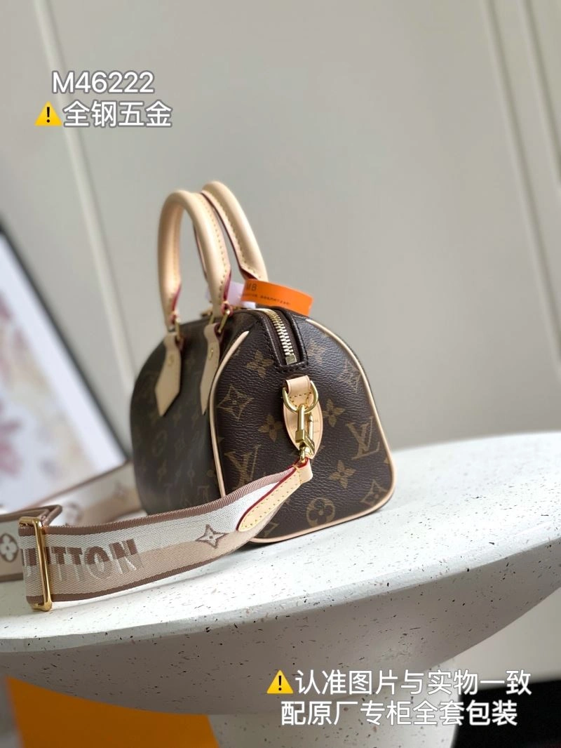 Budget-friendly Louis Vuitton Speedy Bags