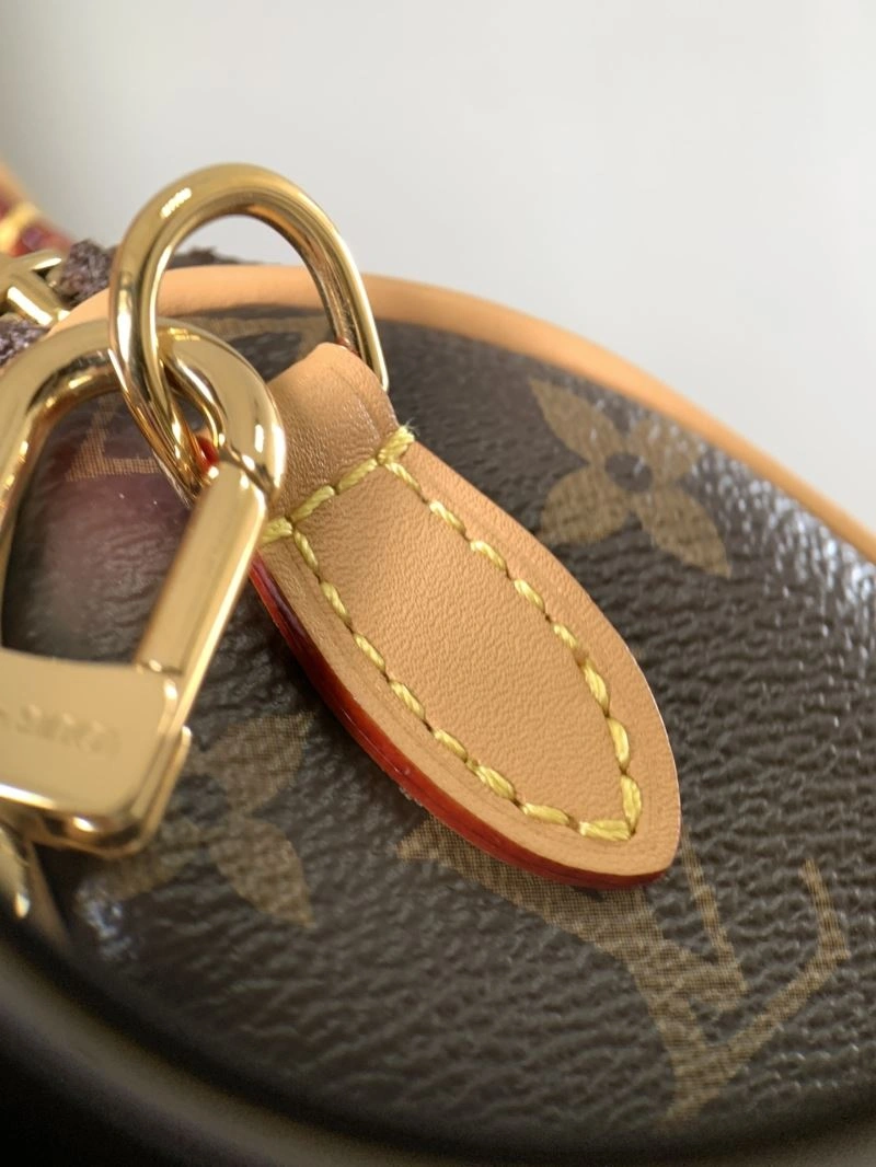 Mirror quality Louis Vuitton Speedy Bags