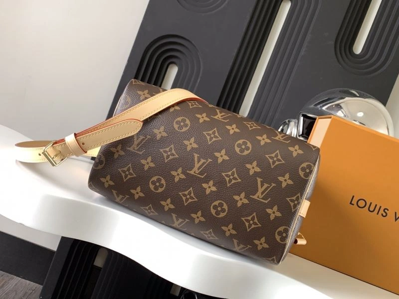 Budget-friendly Louis Vuitton Speedy Bags