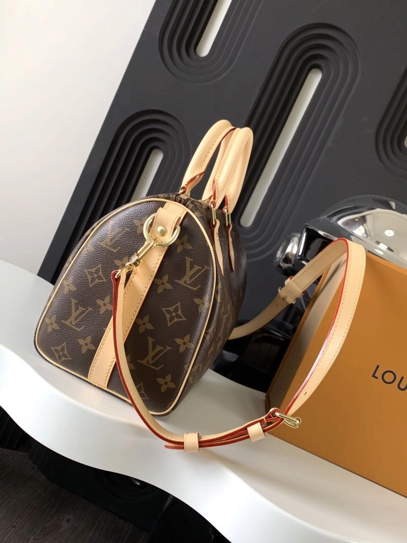 Budget-friendly Louis Vuitton Speedy Bags