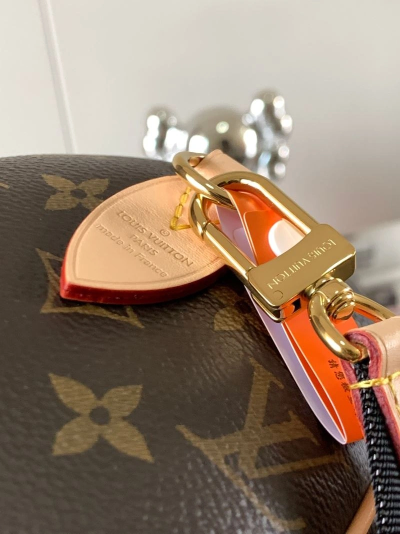 Budget-friendly Louis Vuitton Speedy Bags