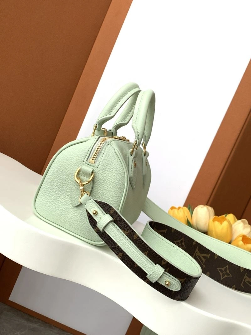 Affordable Louis Vuitton Speedy Bags