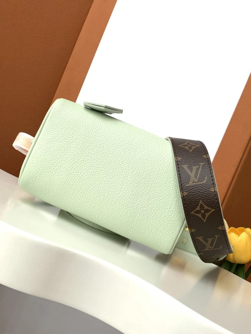 Affordable Louis Vuitton Speedy Bags
