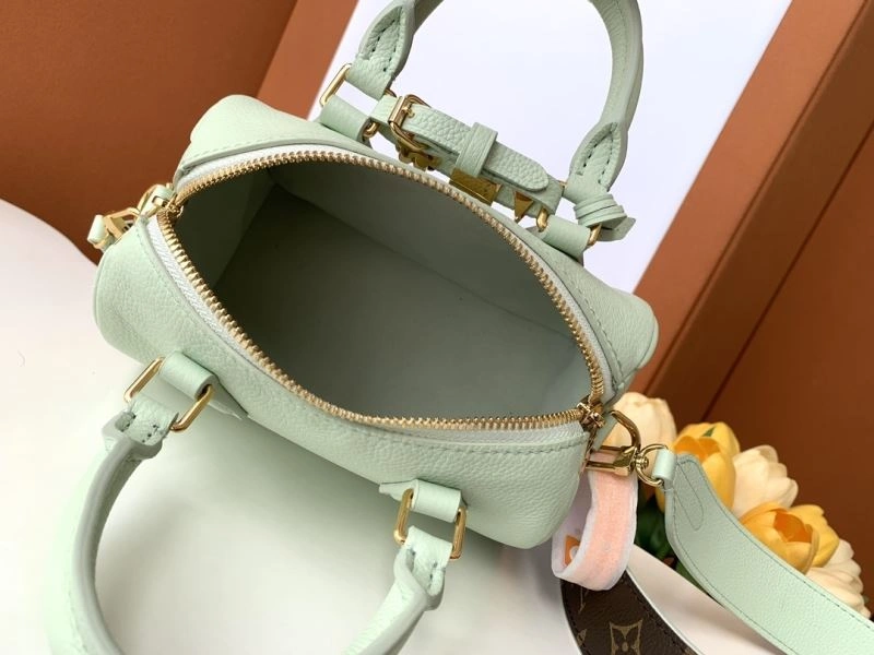 Affordable Louis Vuitton Speedy Bags