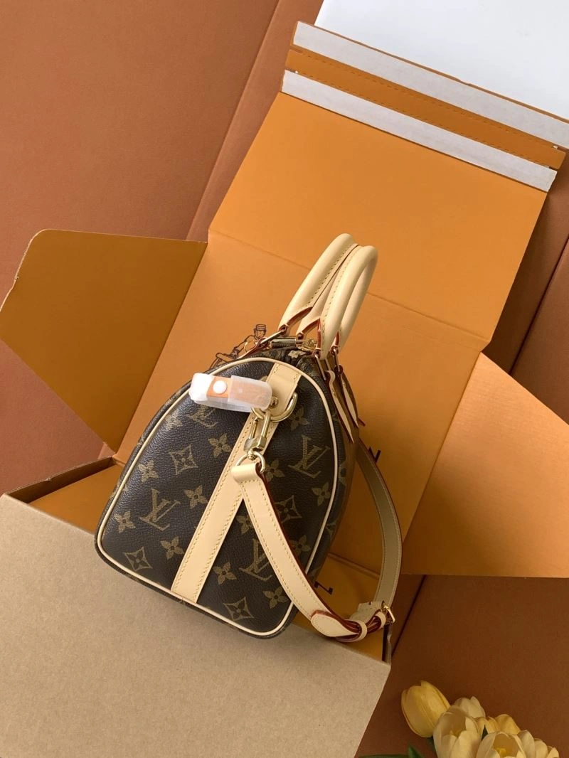 Mirror quality Louis Vuitton Speedy Bags