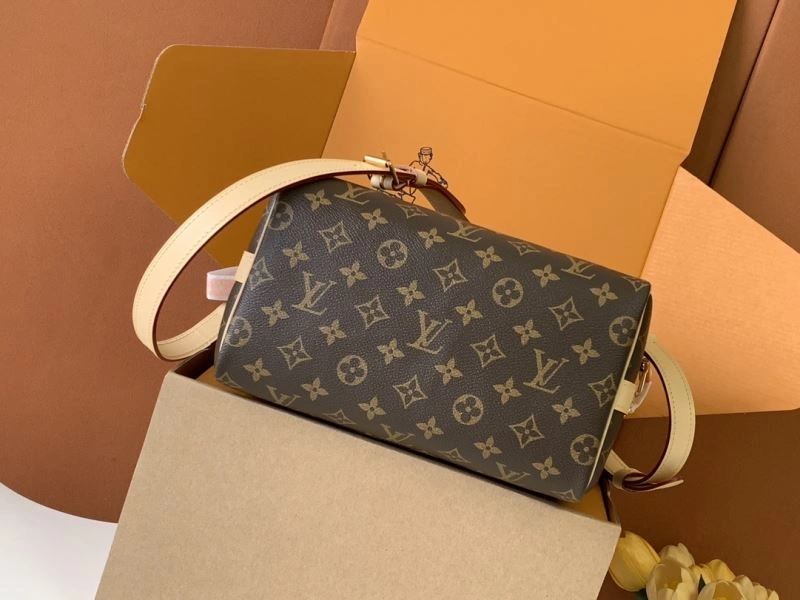 Mirror quality Louis Vuitton Speedy Bags