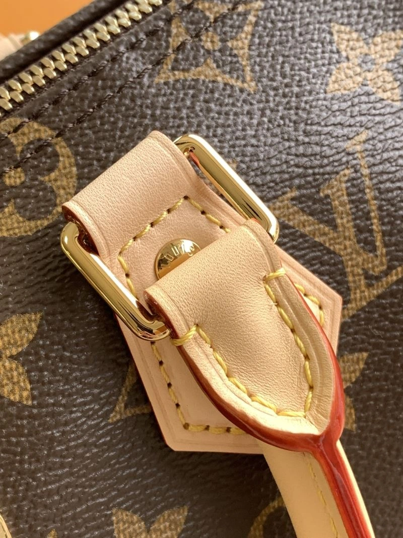 Mirror quality Louis Vuitton Speedy Bags