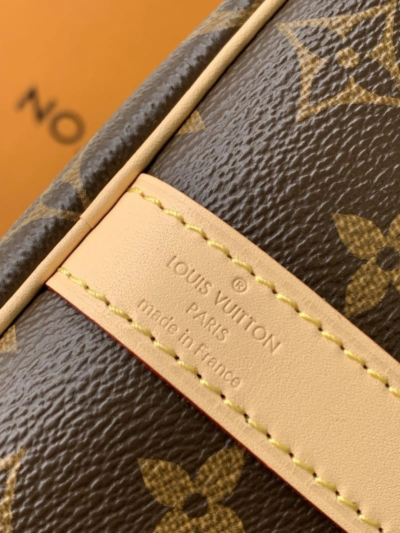 Mirror quality Louis Vuitton Speedy Bags