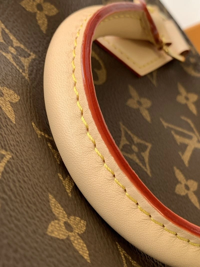 Mirror quality Louis Vuitton Speedy Bags