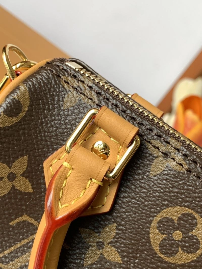 Official Louis Vuitton Speedy Bags