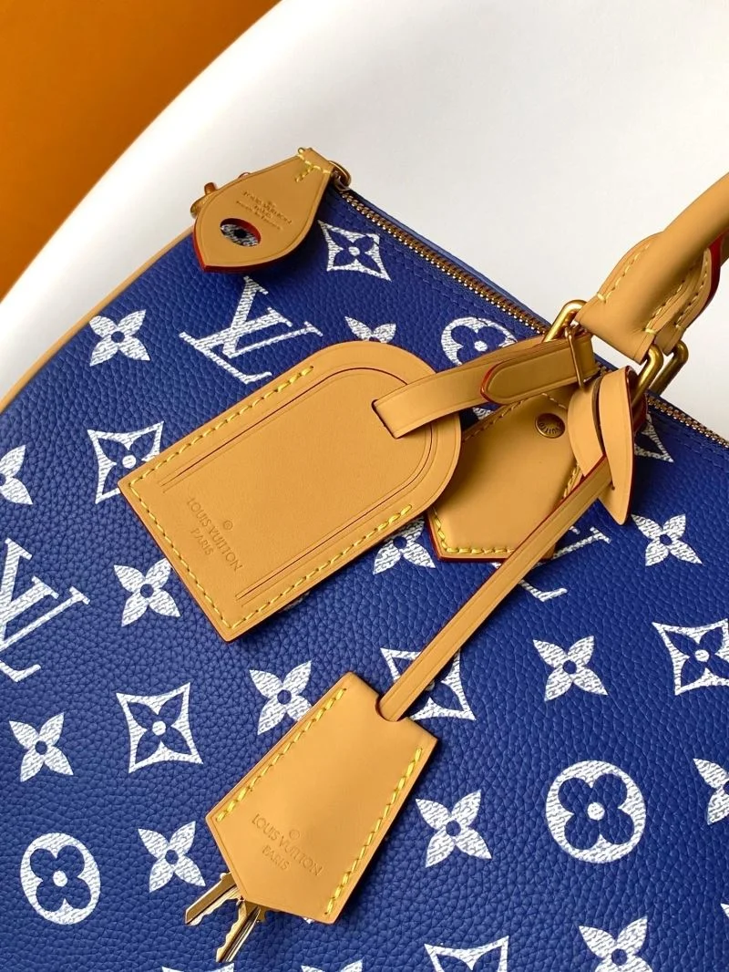Affordable Louis Vuitton Speedy Bags
