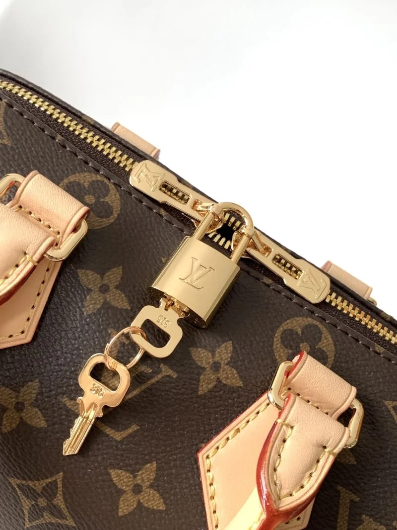 Budget-friendly Louis Vuitton Speedy Bags
