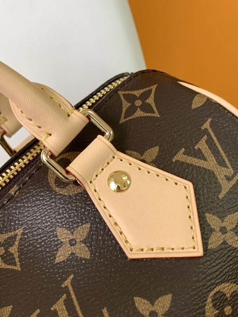 Economical Louis Vuitton Speedy Bags
