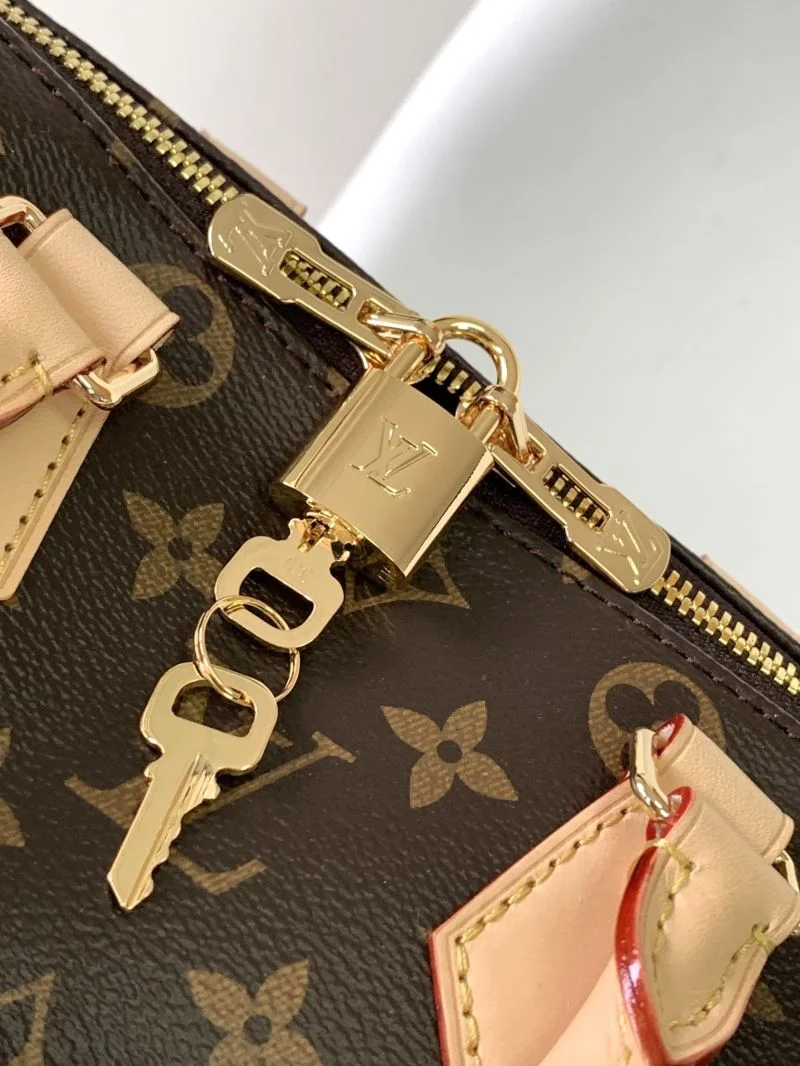 Economical Louis Vuitton Speedy Bags