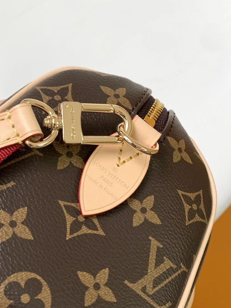 Economical Louis Vuitton Speedy Bags