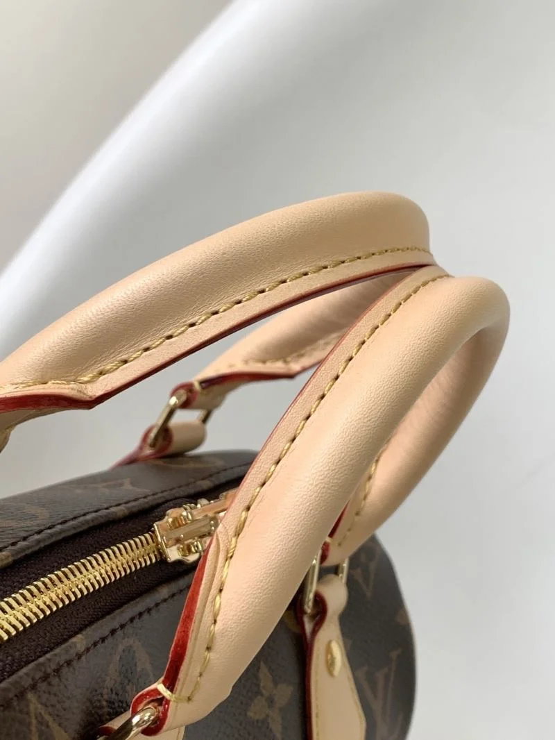 Economical Louis Vuitton Speedy Bags