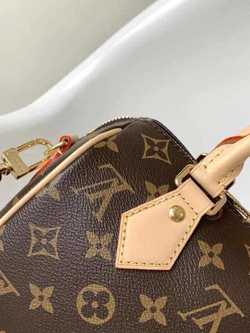 Accurate model Louis Vuitton Speedy Bags