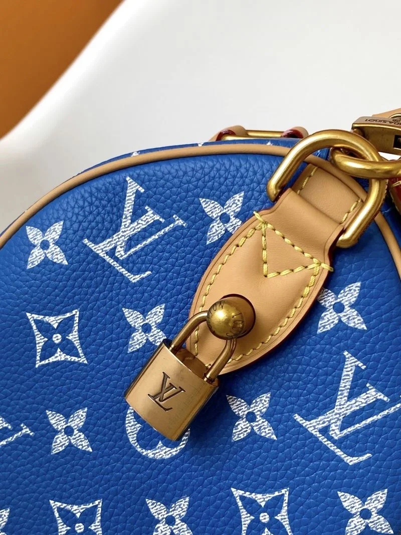 Economical Louis Vuitton Speedy Bags