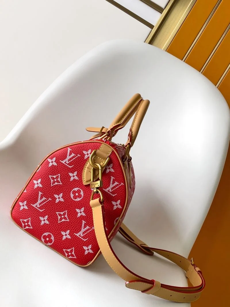 Affordable Louis Vuitton Speedy Bags