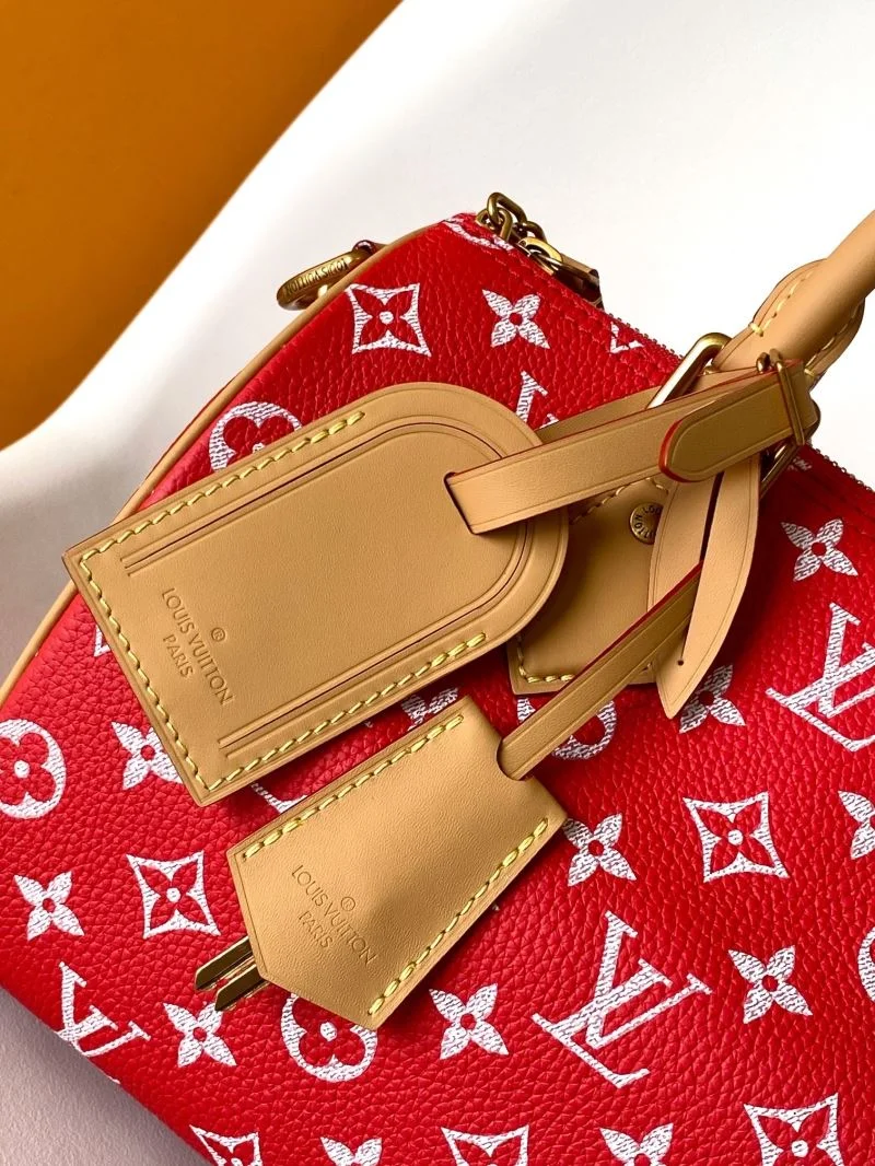 Affordable Louis Vuitton Speedy Bags