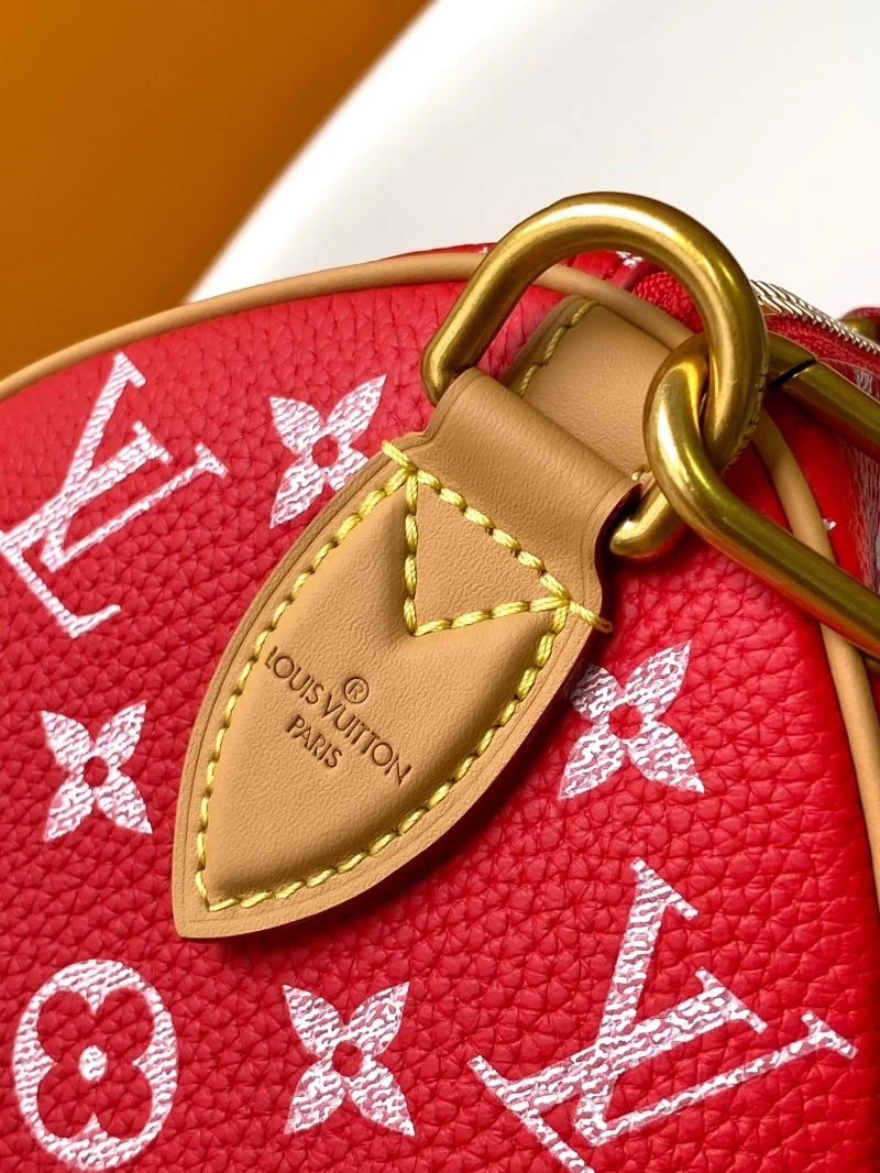 Affordable Louis Vuitton Speedy Bags