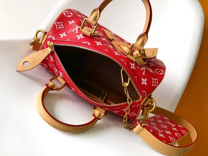 Affordable Louis Vuitton Speedy Bags