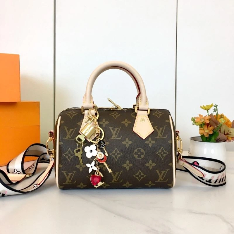 Louis Vuitton Speedy Bags