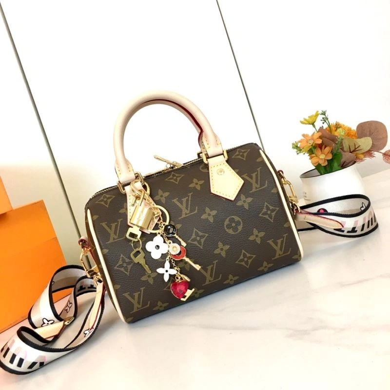 Inexpensive Louis Vuitton Speedy Bags