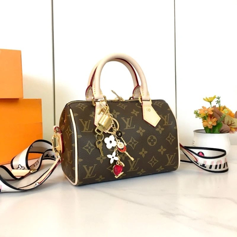 Inexpensive Louis Vuitton Speedy Bags