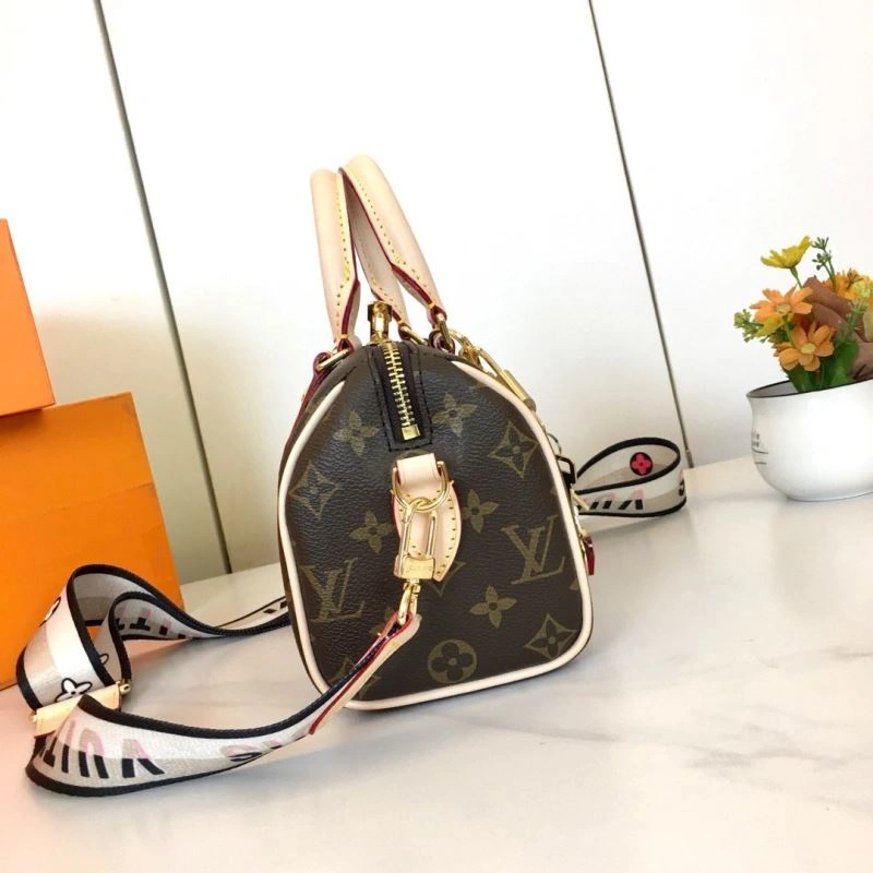 Inexpensive Louis Vuitton Speedy Bags