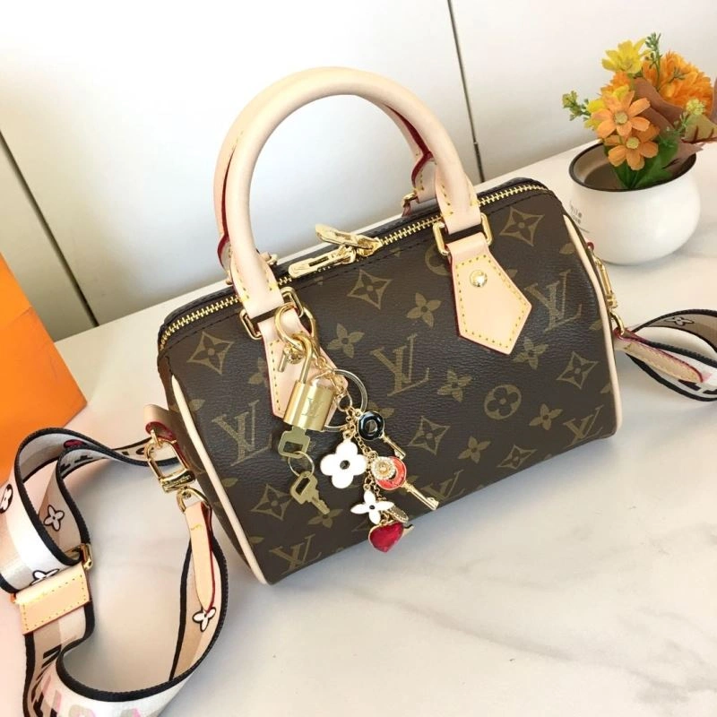 Inexpensive Louis Vuitton Speedy Bags