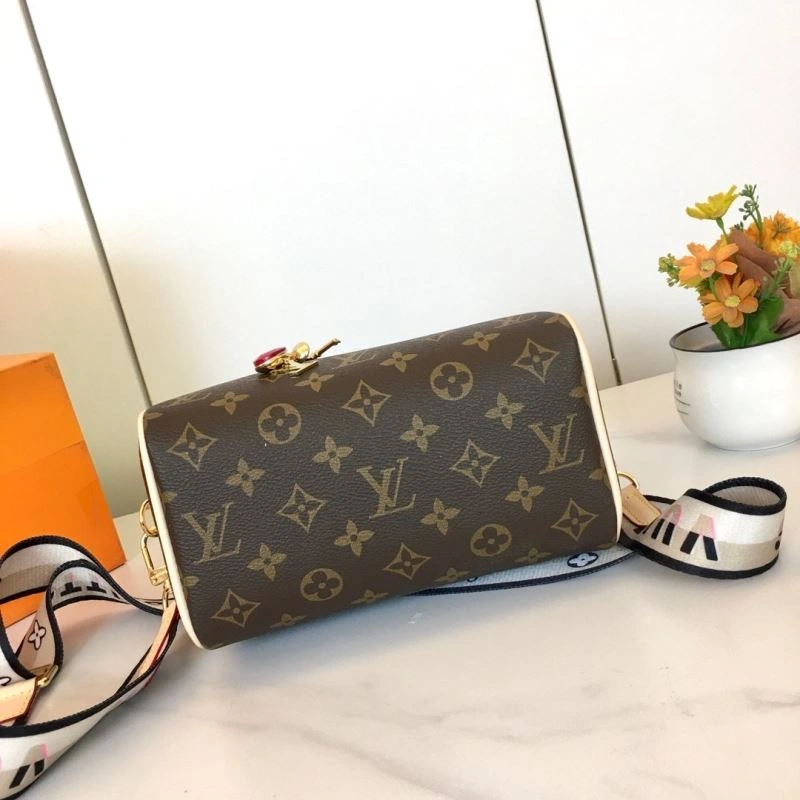 Inexpensive Louis Vuitton Speedy Bags