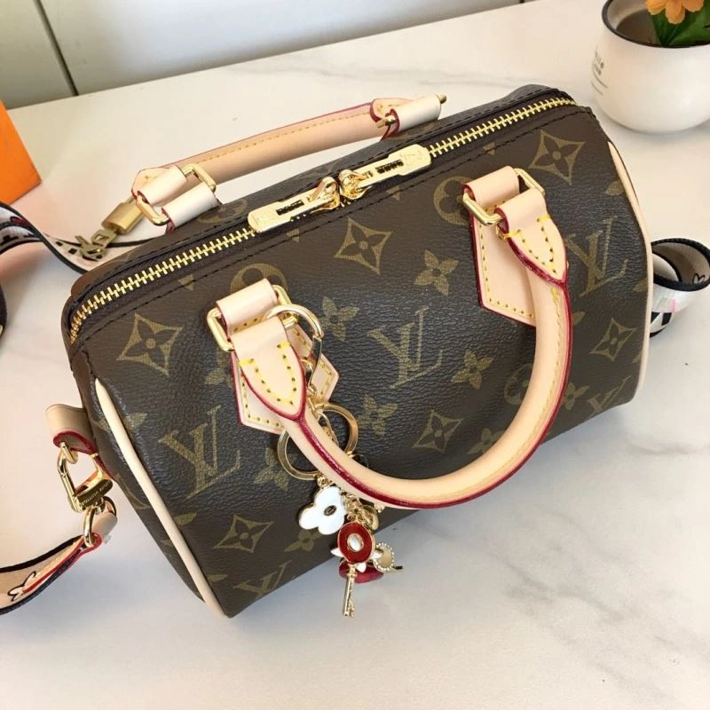 Inexpensive Louis Vuitton Speedy Bags