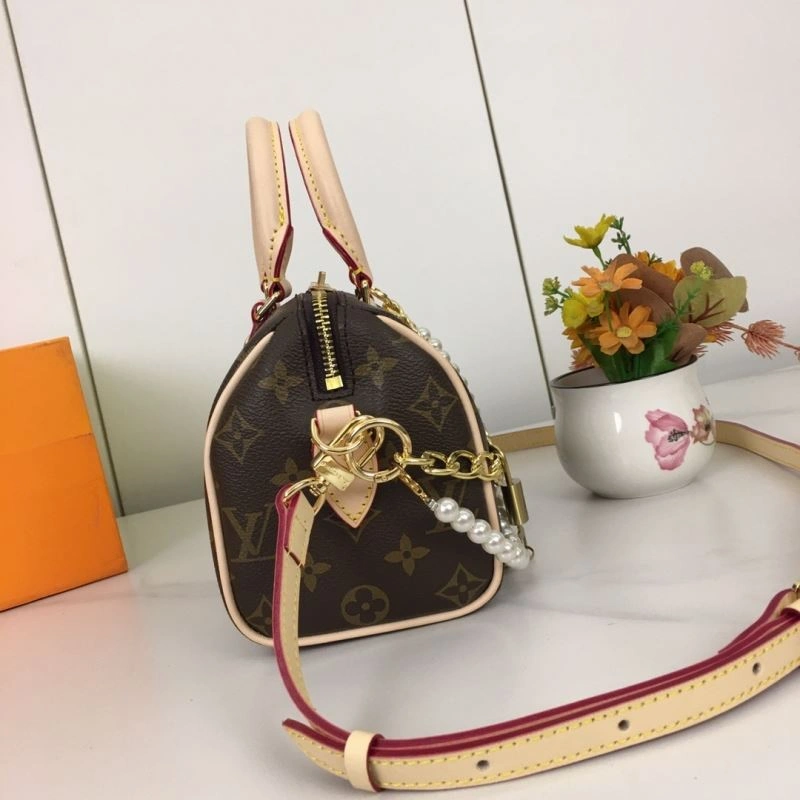 Economical Louis Vuitton Speedy Bags