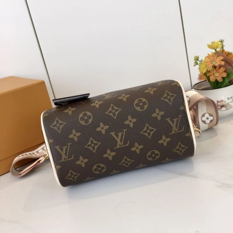 Low-cost Louis Vuitton Speedy Bags