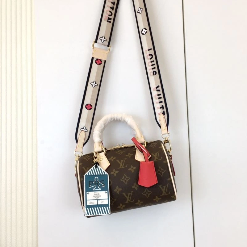 Louis Vuitton Speedy Bags