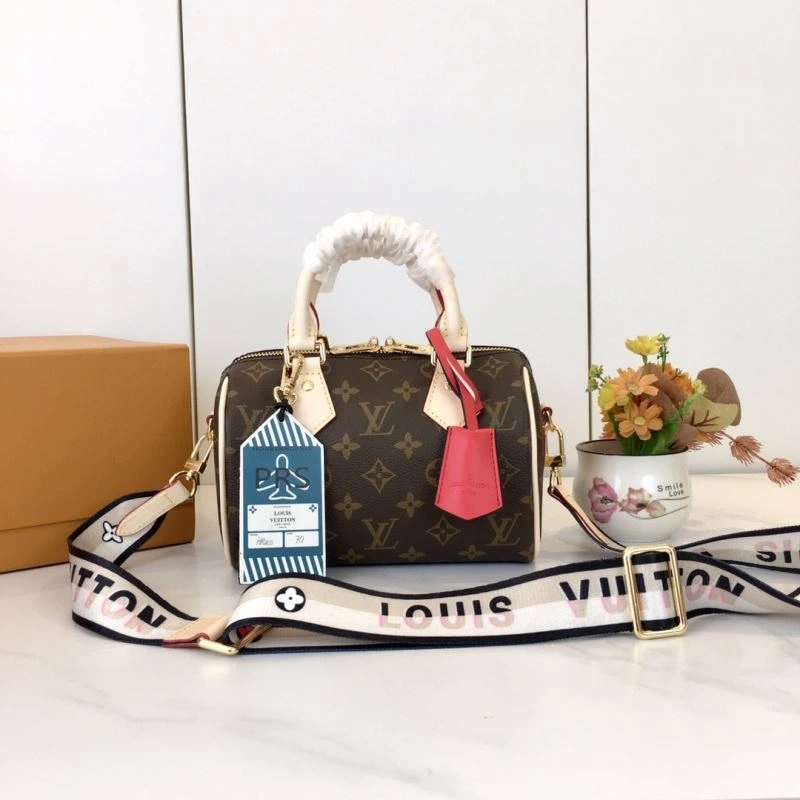 Reasonably priced Louis Vuitton Speedy Bags