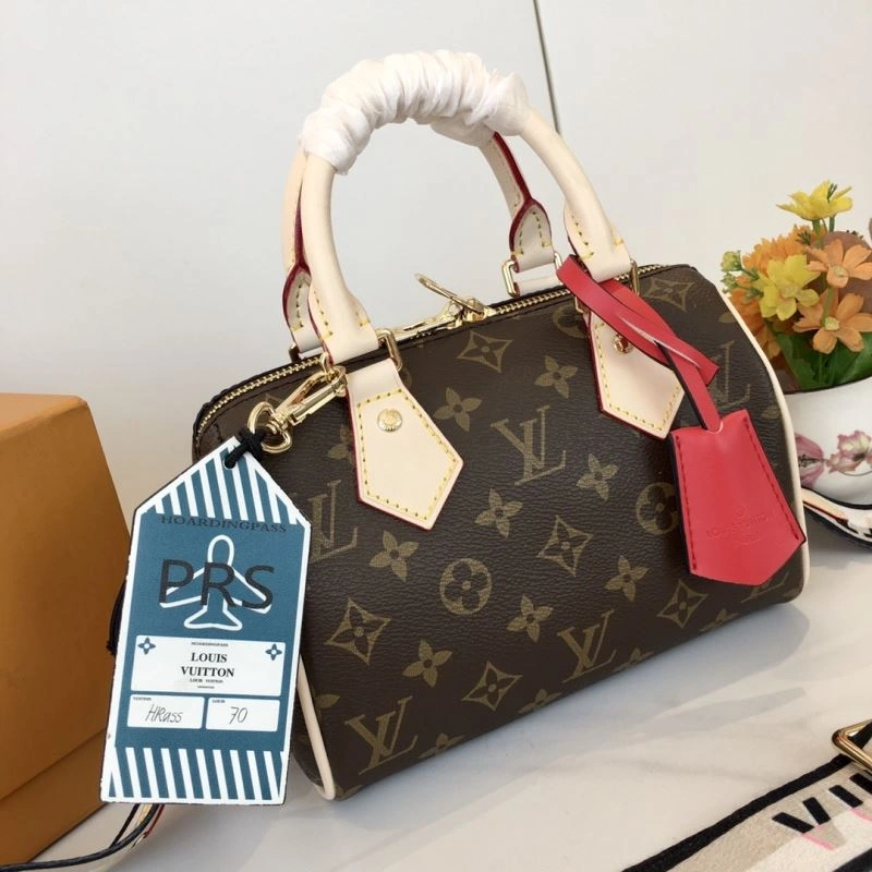 Reasonably priced Louis Vuitton Speedy Bags
