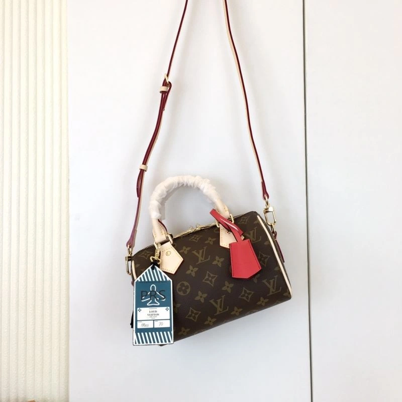 Louis Vuitton Speedy Bags