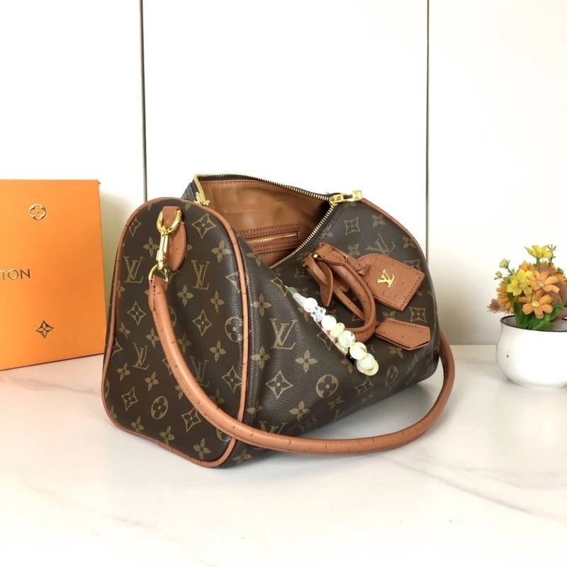 Affordable Louis Vuitton Speedy Bags