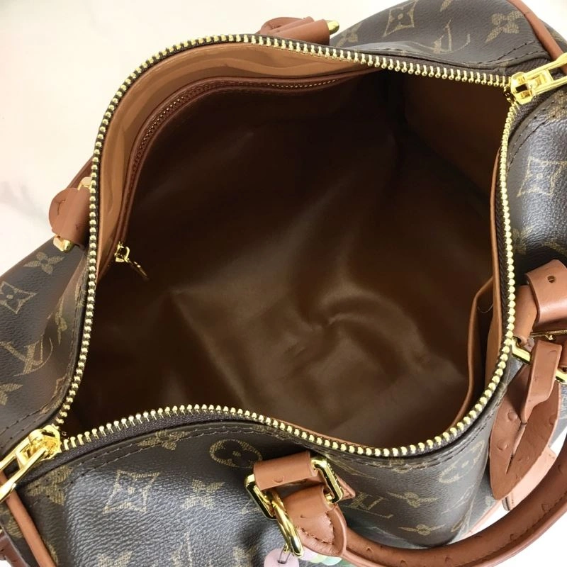 Affordable Louis Vuitton Speedy Bags