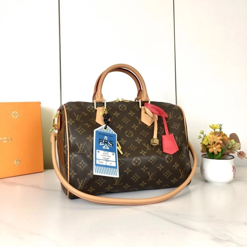 Accurate model Louis Vuitton Speedy Bags