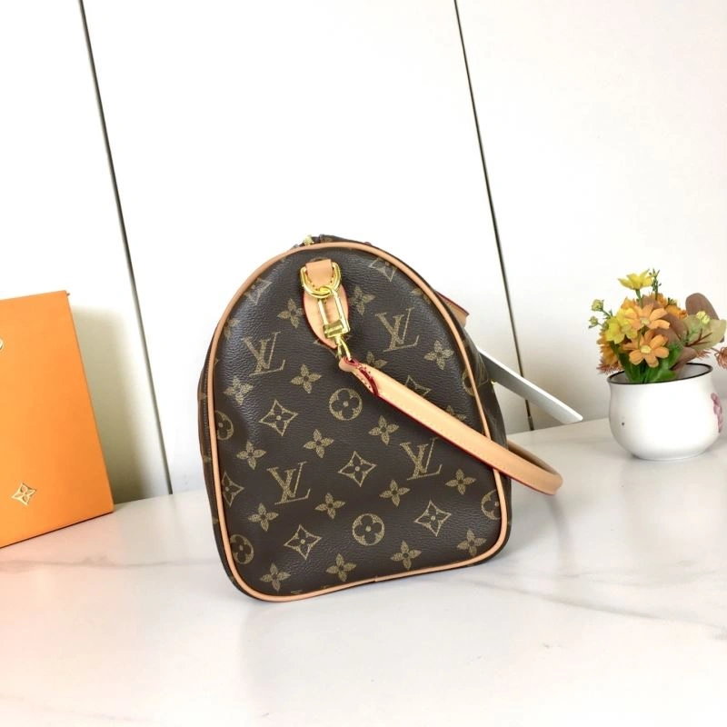 Accurate model Louis Vuitton Speedy Bags