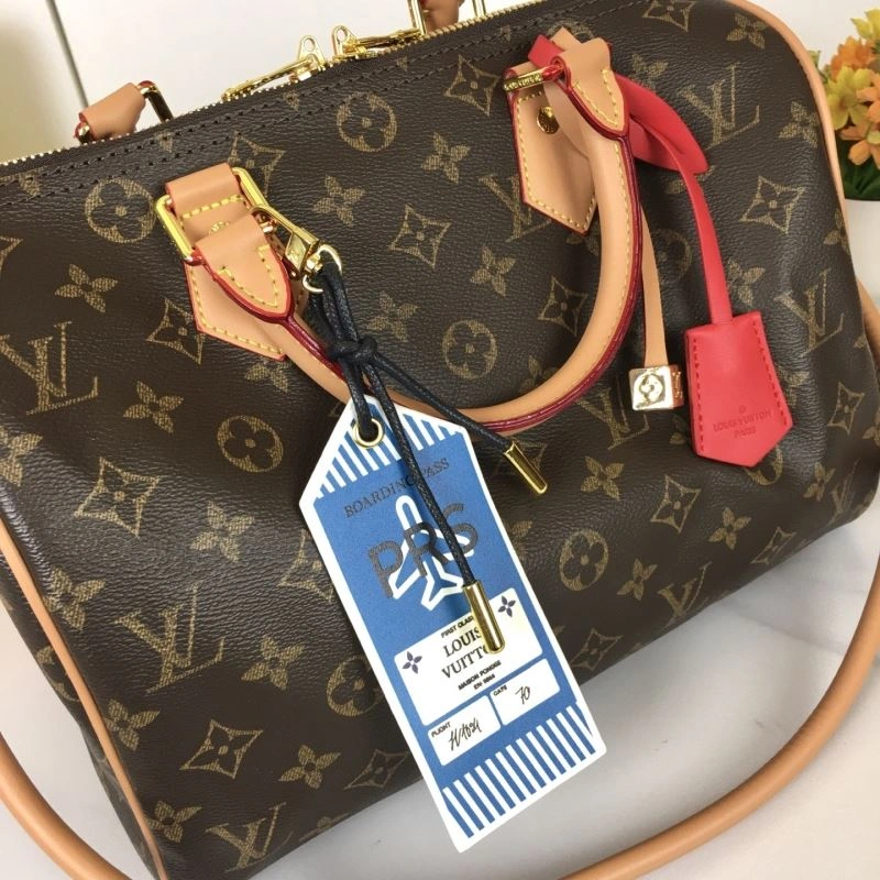 Accurate model Louis Vuitton Speedy Bags