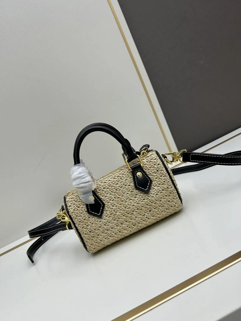 Reasonably priced Louis Vuitton Speedy Bags