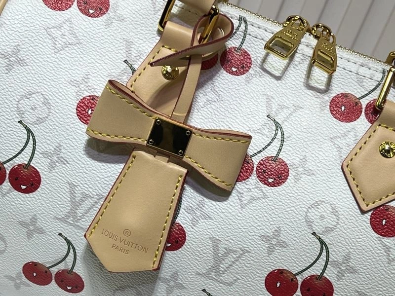 Official Louis Vuitton Speedy Bags