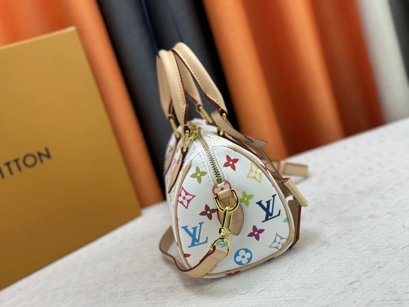 Budget-friendly Louis Vuitton Speedy Bags