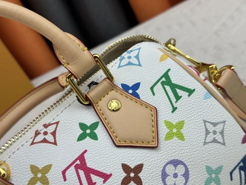 Budget-friendly Louis Vuitton Speedy Bags