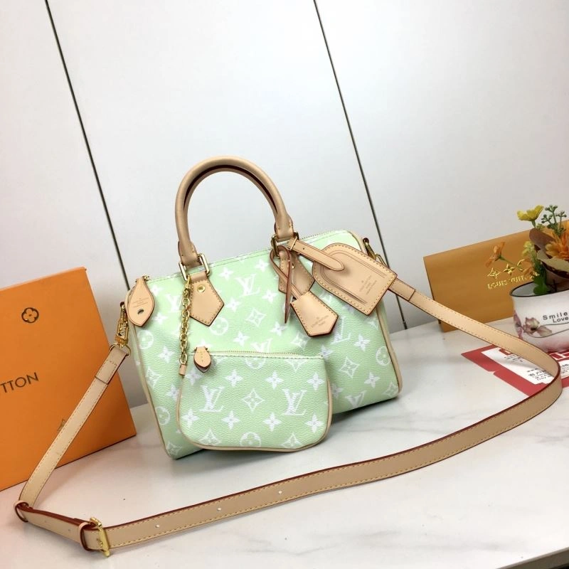 Inexpensive Louis Vuitton Speedy Bags